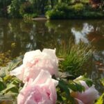 Versailles Palace and Giverny Private guided tour from Paris - Afternoon: The Majesty of Versailles