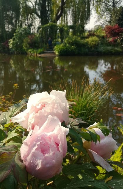 Versailles Palace and Giverny Private guided tour from Paris - Afternoon: The Majesty of Versailles