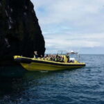 Vestmannaeyjar: One Hour Small Islands Trip - The Value and Overall Impression