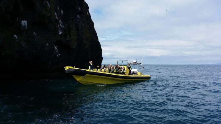 Vestmannaeyjar: One Hour Small Islands Trip - The Value and Overall Impression