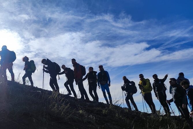 Vesuvius, V.I.P. the only Tour with Volcanological Guide - Key Points