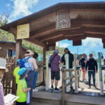 Vesuvius Volcano Experience: from Naples, Pompeii and Rome - The Viewpoints and the Experience on Vesuvius