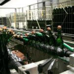 Veuve Ambal 1.5-Hour Cellar Tour with Tasting - An In-Depth Look at the Experience