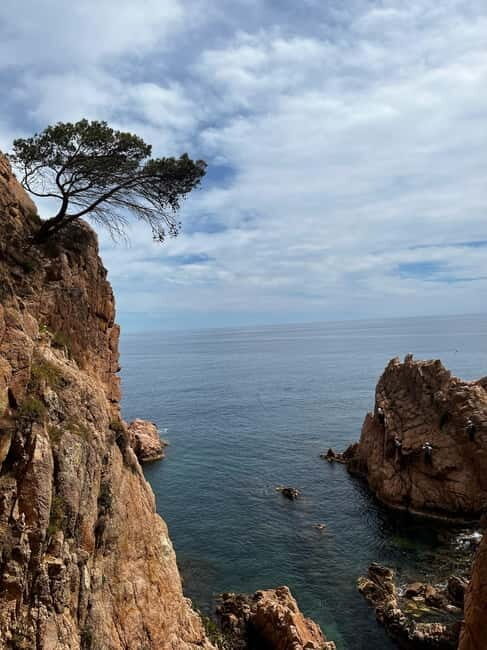 Via Ferrata Adventure in Costa Brava + Transport - The Route and What to Expect