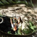 Via Ferrata "Rio Sallagoni" - Deep Dive into the Itinerary