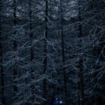 Vialattea: Night Snowshoeing under the Stars - What to Expect and Practicalities