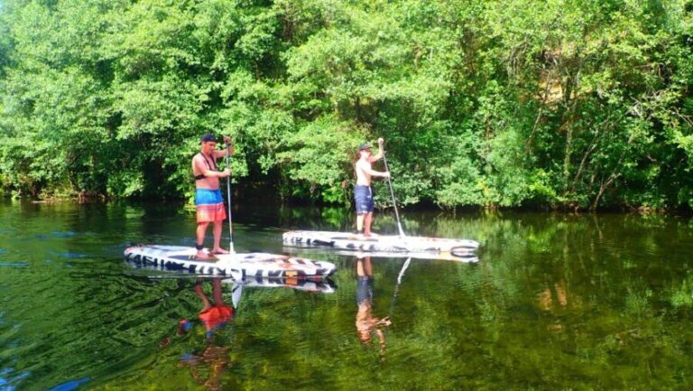 Viana do Castelo: Vez River SUP with Transfer Options - Diving into the Experience