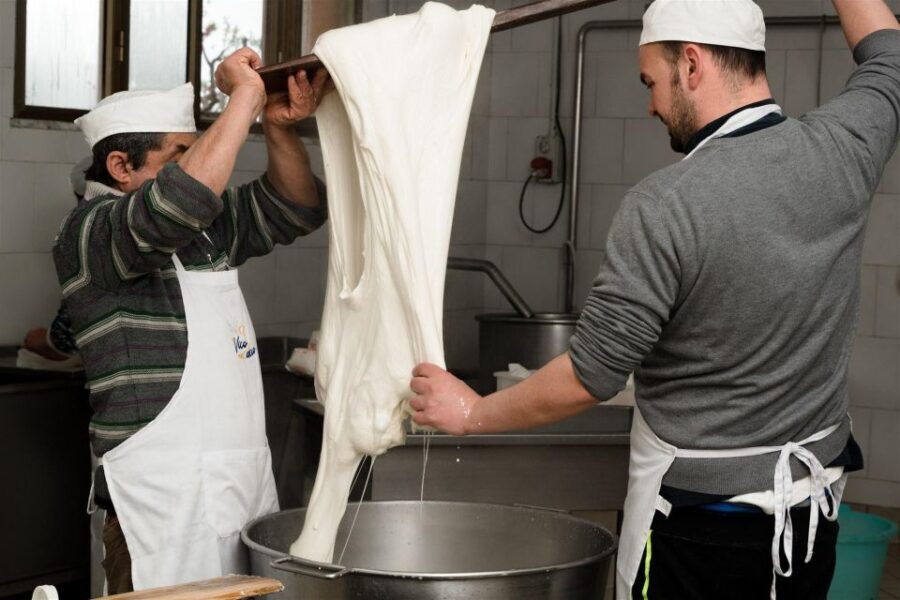 Vico Equense: Tour in the dairy "Mozzarella Experience" - What to Expect During the Tour