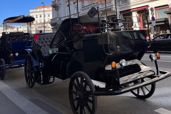 Vienna: 60 min. Royal E-Carriage Sightseeing Tour with Drinks - Who Will Love This Tour?