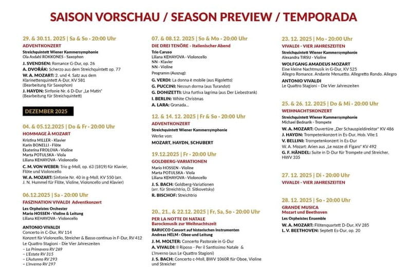 Vienna: Advent, Christmas and New Year's Concerts - Getting There and Seating