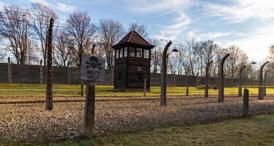 Vienna: Auschwitz Birkenau Full-Day Tour w/ Hotel Transfers - The Journey: From Vienna to Auschwitz