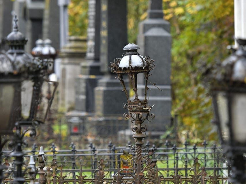 Vienna: Central Cemetery, guided walking tour with fascinating secrets - How the Tour Adds Value