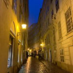 Vienna: Haunted City Center Walking Tour - The Practical Side