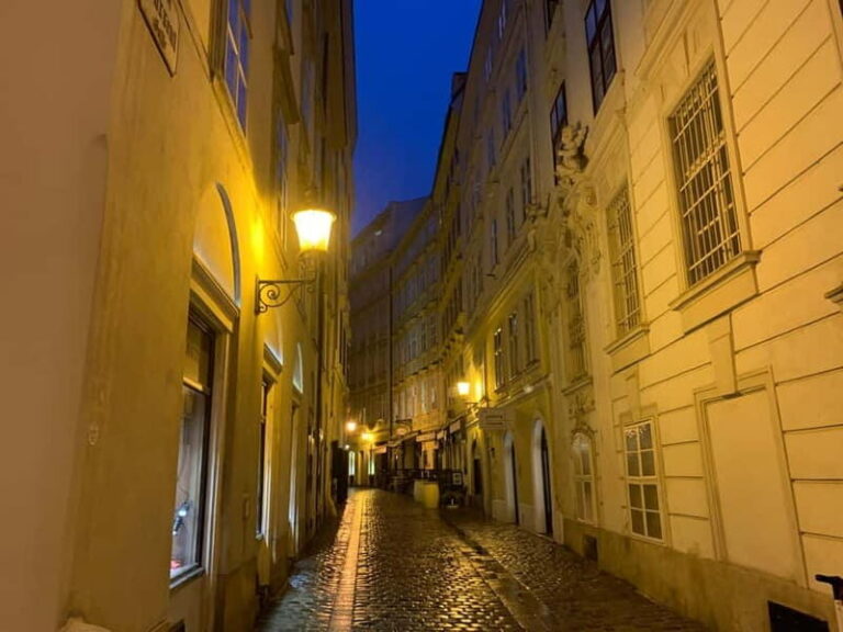 Vienna: Haunted City Center Walking Tour - The Practical Side