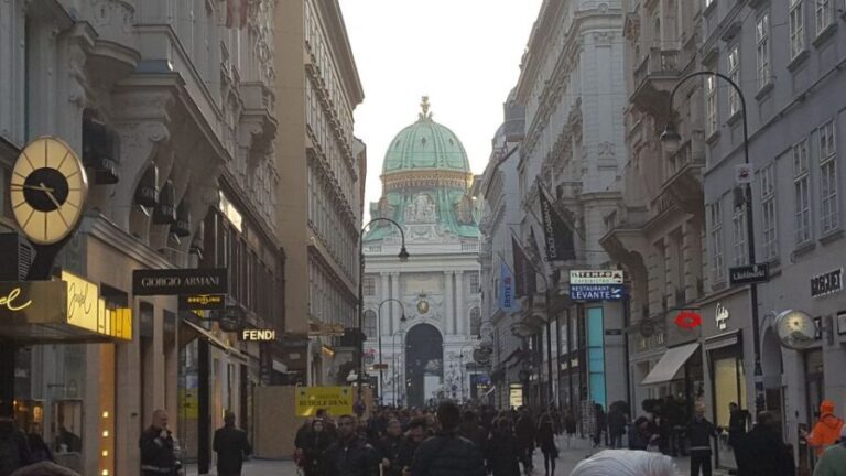 Vienna Historical Highlight City Tour + Hofburg - Who Is This Tour Best For?