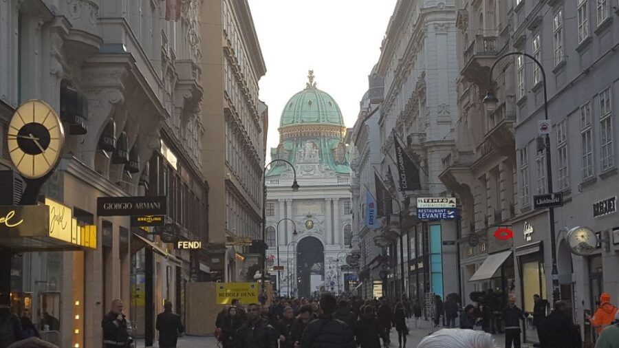 Vienna Historical Highlight City Tour + Hofburg - Who Is This Tour Best For?