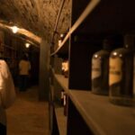 Vienna: Historical Pharmacy Cellar Guided Tour - What to Expect from the Tour