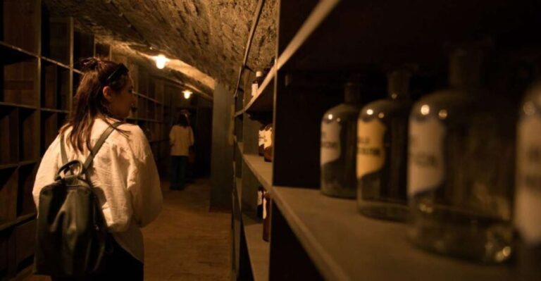 Vienna: Historical Pharmacy Cellar Guided Tour - What to Expect from the Tour