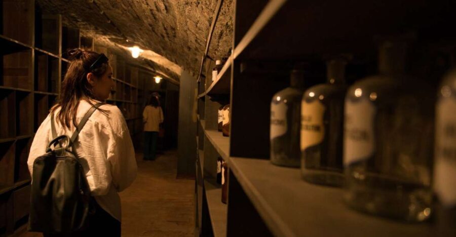 Vienna: Historical Pharmacy Cellar Guided Tour - What to Expect from the Tour