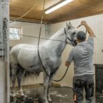 Vienna Horse-drawn Carriage Guided Tour - Authenticity & Value
