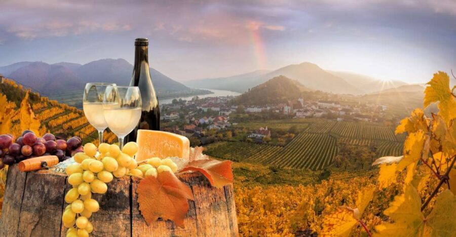 Vienna: Melk, Wachau Wine, Lower Austria Day Trip by Car - Practicalities & Value