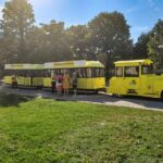 Vienna: Panorama Train Tickets to explore Schönbrunn Palace - Who Should Consider This Tour?