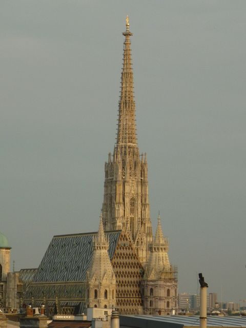 Vienna: Private Walking Tour - The Experience: What to Expect