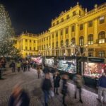 Vienna: Schönbrunn Palace & Christmas Market Walking Tour - The Christmas Market in All Its Seasonal Glory