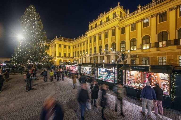Vienna: Schönbrunn Palace & Christmas Market Walking Tour - The Christmas Market in All Its Seasonal Glory