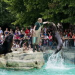 Vienna: Skip-the-line Tickets for Schönbrunn Zoo - What to Expect on Your Visit