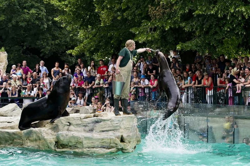 Vienna: Skip-the-line Tickets for Schönbrunn Zoo - What to Expect on Your Visit