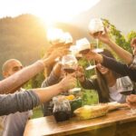 Vienna Wine Tasting Tour with Private Wine Expert - Final Thoughts
