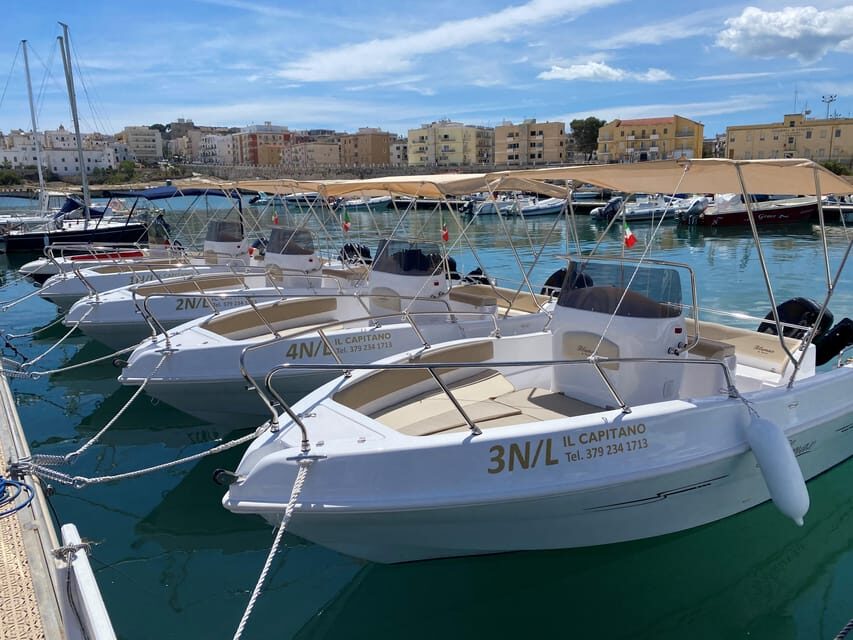 Vieste: Boat tour of the Gargano coast - The Itinerary: What You Can Expect