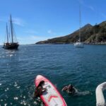 Vigo: Cíes Islands Sailboat Excursion with Skipper - Authenticity and Traveler Feedback