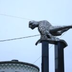 Vigo: Private Walking Tour with local guide - What’s Included & Practical Tips
