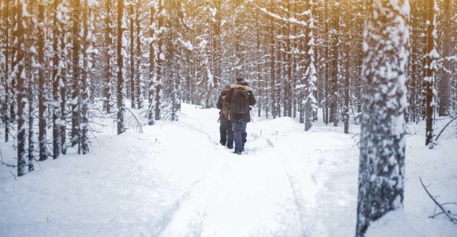Vikakongas Hike: Nature and Silence - Practical Details & What to Expect