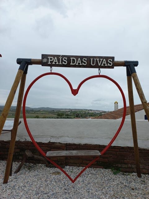 Vila de Frades: Talha Wine Tour with Tastings - Detailing the Itinerary: What to Expect at Every Stop