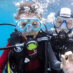 Vila Franca do Campo: Try Scuba Diving - Final Thoughts: Is It Worth It?