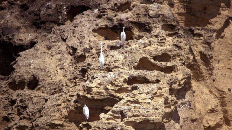 Vila Franca Islet: Inside Guided Natural Reserve Geo Tour - Exploring the Volcanic Crater