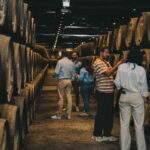 Vila Nova de Gaia: Wine Tasting Connoisseur Masterclass - Who Will Love This Tour?
