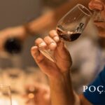 Vila Nova de Gaia: Winery Tour with 2 DOC Douro & 2 Ports - An In-Depth Look at the Tour Experience