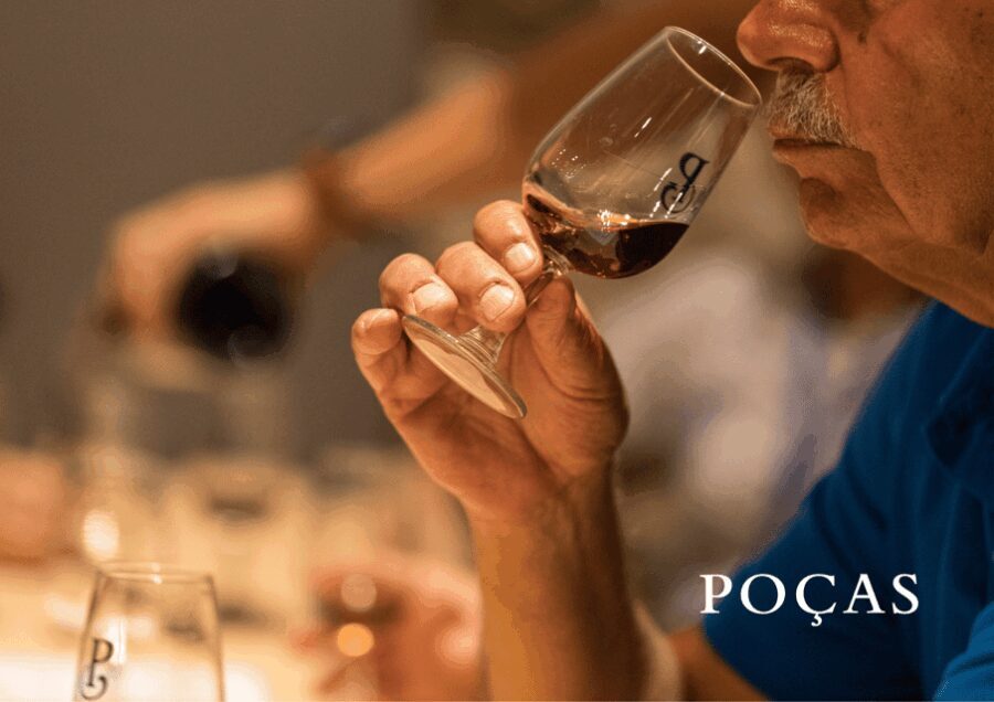 Vila Nova de Gaia: Winery Tour with 2 DOC Douro & 2 Ports - An In-Depth Look at the Tour Experience