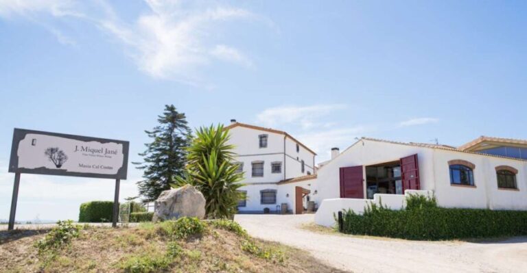 Vilafranca del Penedès: Winery Visit with Tastings - Practical Tips for Making the Most of Your Visit