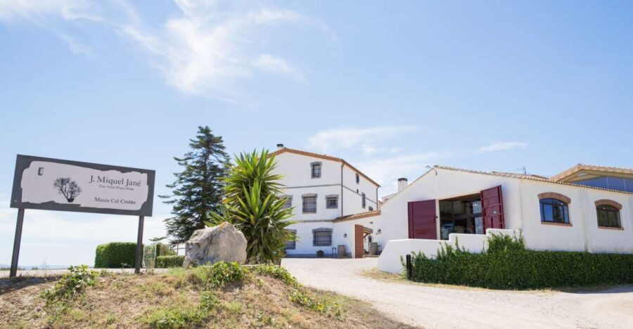 Vilafranca del Penedès: Winery Visit with Tastings - Practical Tips for Making the Most of Your Visit