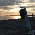 Vilamoura and Quarteira Seaside Segway Tour - Who will love this tour?
