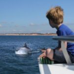 Vilamoura: Boat Tour Dolphin Quest - The Experience: What You Can Expect