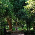 Villa Borghese and Posh Areas Unique Photo Tour and Workshop - Who Will Love This Tour?