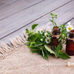 Villacidro - The Cogas ointment: the secrets of herbs - Final Thoughts