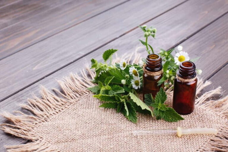 Villacidro - The Cogas ointment: the secrets of herbs - Final Thoughts