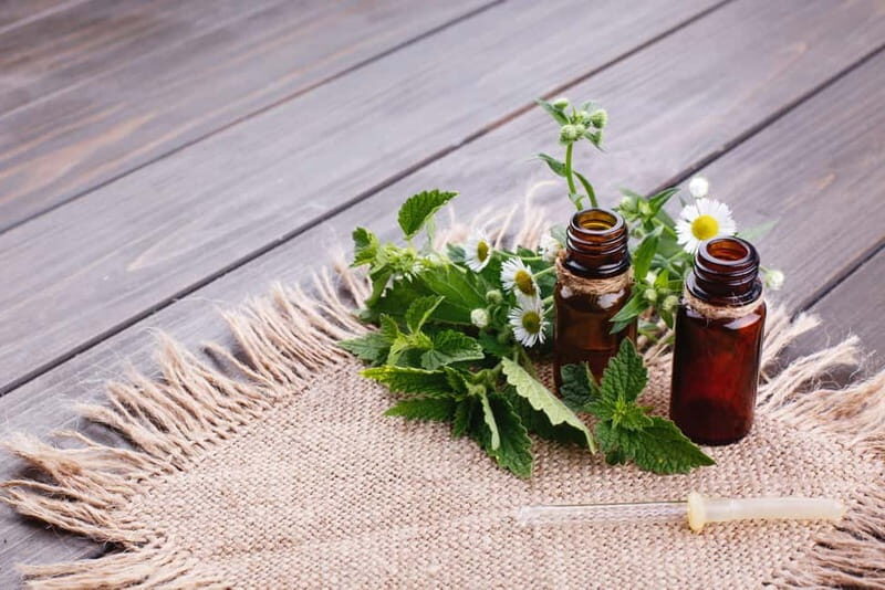 Villacidro - The Cogas ointment: the secrets of herbs - Final Thoughts